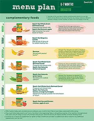 WIC™ Resources for Agencies & Parents from Beech-Nut